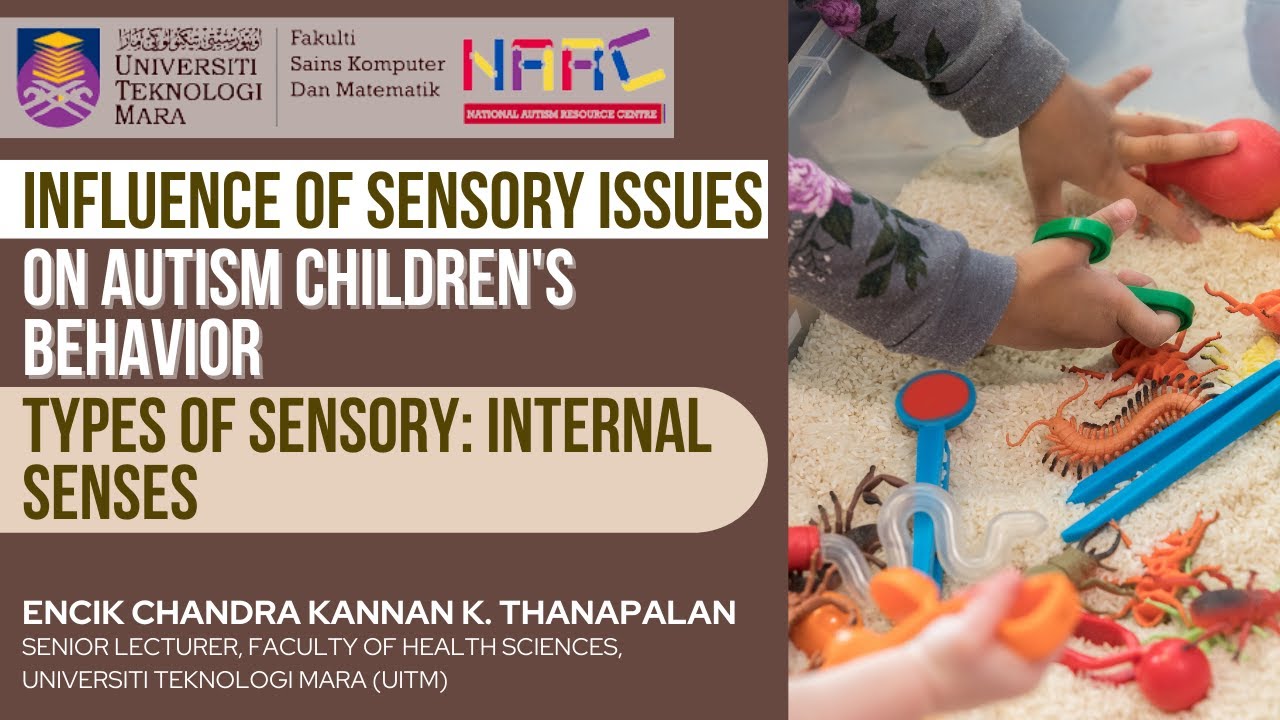 3. Types of Sensory: Internal Senses - YouTube