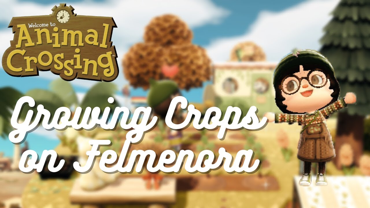Farmcore fields in a Forestcore island? | Animal Crossing: New Horizons ...