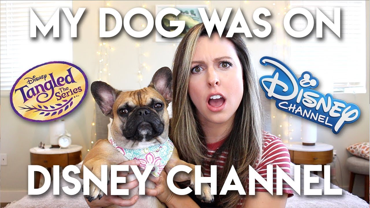 MY DOG WAS ON DISNEY CHANNEL - YouTube