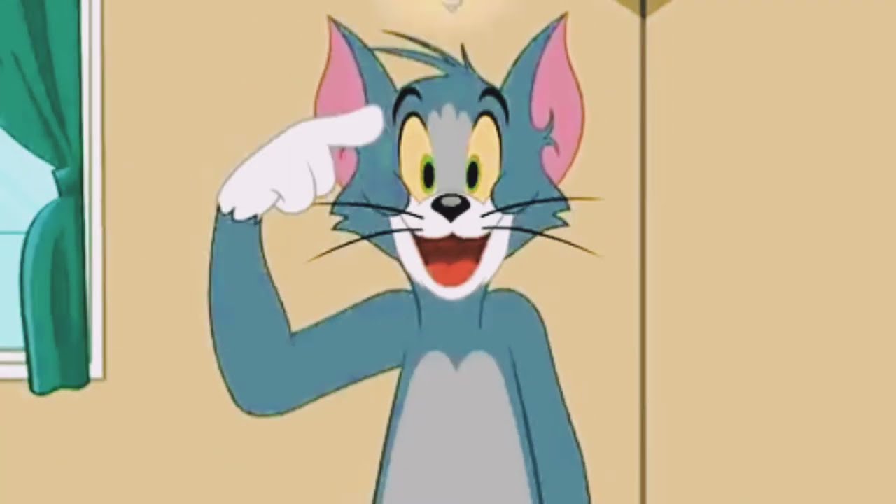 The Tom and Jerry Show | Tom The Gym Cat | Kashifkhan_kidsTV - YouTube