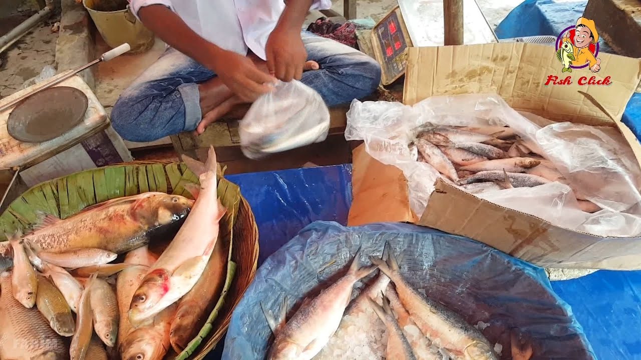 Frozen fish in Bangladeshi market | Fish storing by using ice | Amazing ...