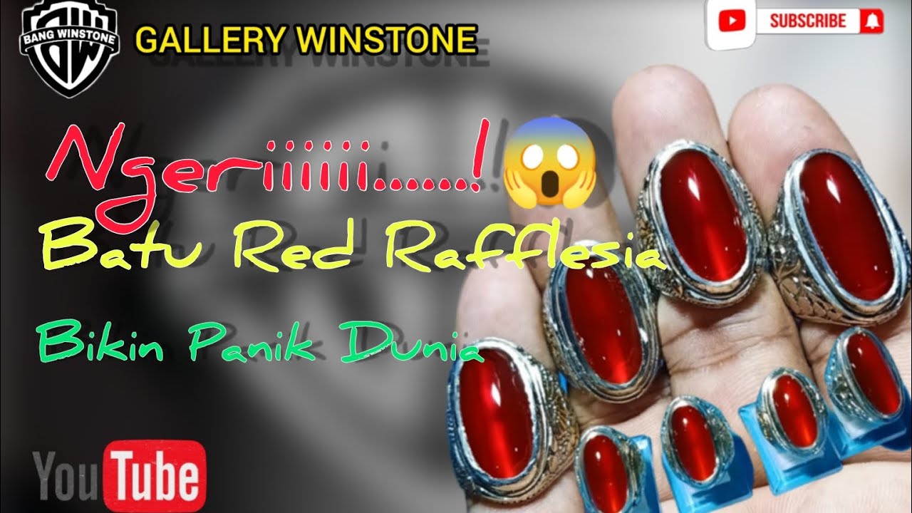 NGERIII..... BATU RED RAFFLESIA BIKIN PANIK DUNIA PERBATUAN 😲 - YouTube