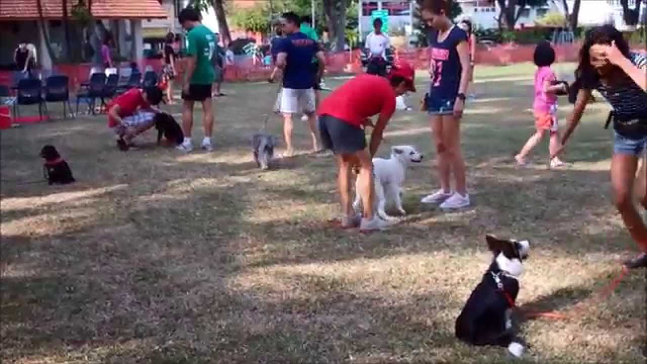 Group Obedience (28th Feb 2015) Week 2 - YouTube
