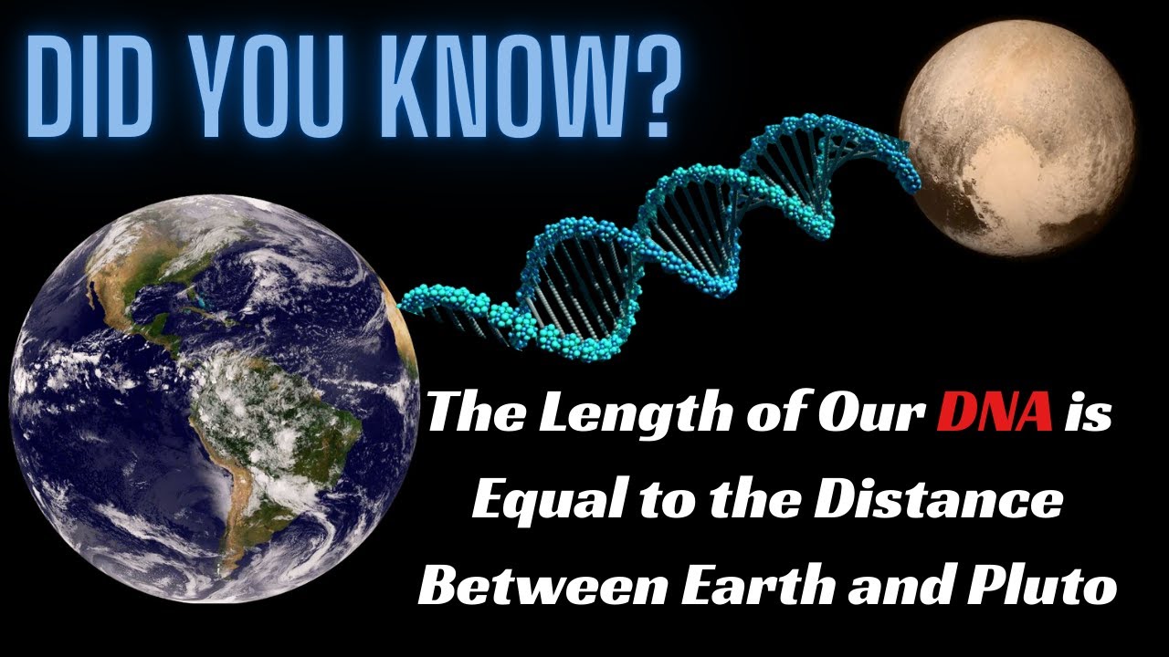 Why DNA is the Ultimate Instruction Manual for Life | The Science of ...