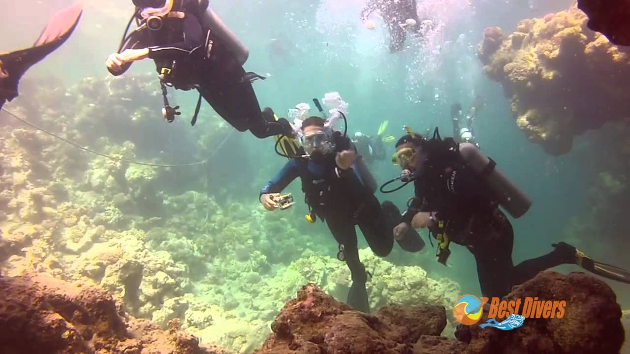 Egipt - Marsa Alam - listopadowe nurkowanie - YouTube