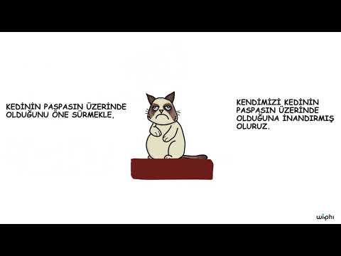 Dil: Koşullu İfadeler, 4. Bölüm (Wi-Phi / Kablosuz Felsefe)
