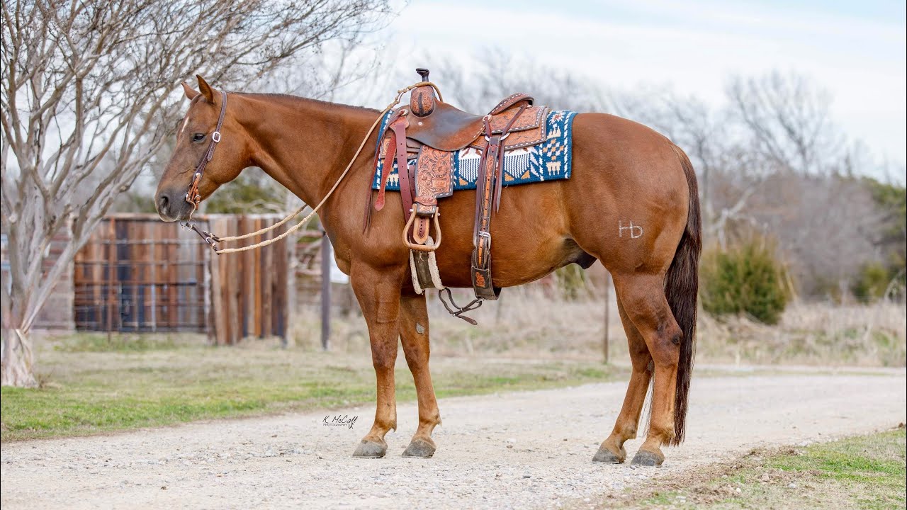 Sold Ruger - YouTube