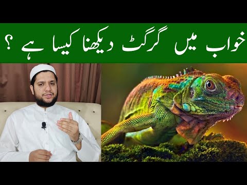 Khwab mein girgit dekhna | To see the chameleon in a dream meaning | خواب میں گرگٹ دیکھنے کی تعبیر