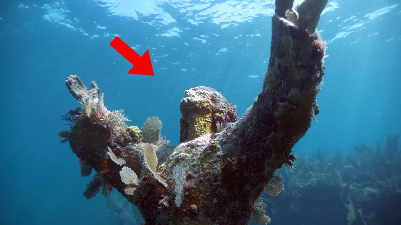 Florida’s Most Unique Dive Site - Christ of the Abyss - YouTube