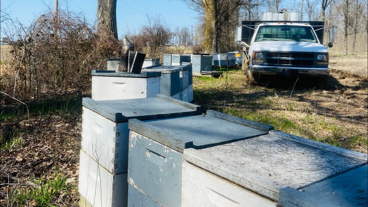 1st Day of Spring Hive Management- Colony Evaluation and Adding Deeps ...