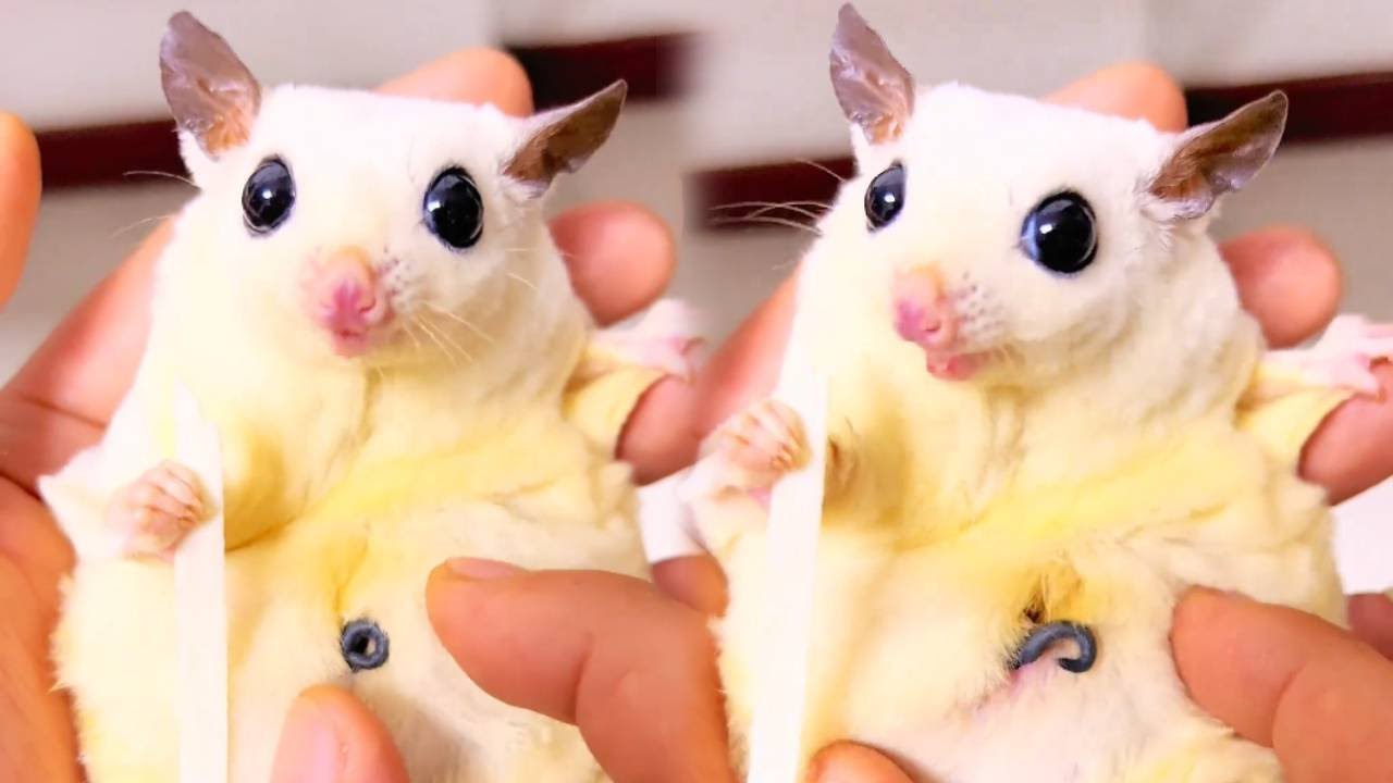 I See You're Always Covering Something With Your Hands. - YouTube