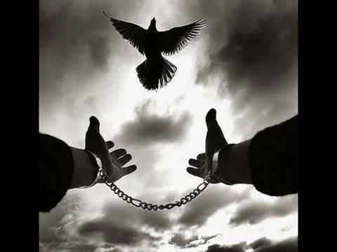 Vüqar Abdulov — Dünya