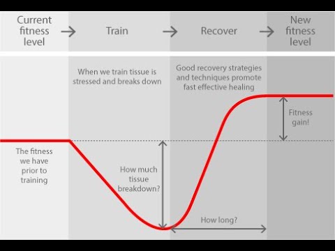 Slow and Fast Adaptation - YouTube