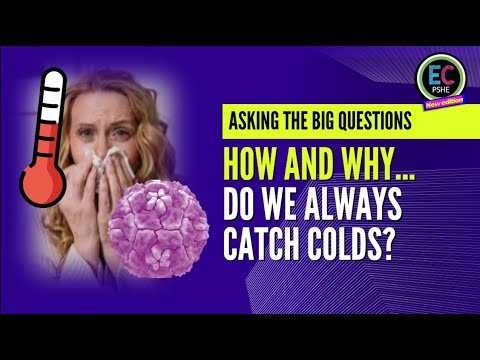 How and why do we always catch colds? - YouTube