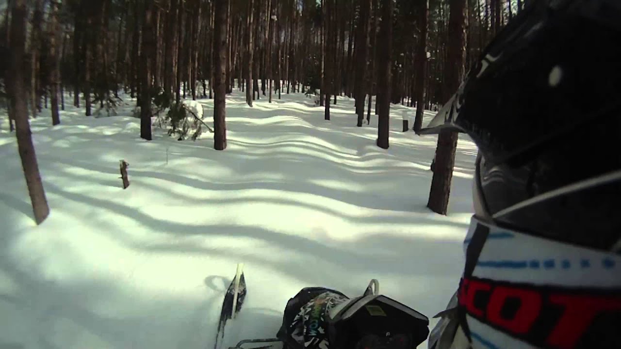 Snowmobile Tree Riding in the Woods of Northern Ontario - YouTube