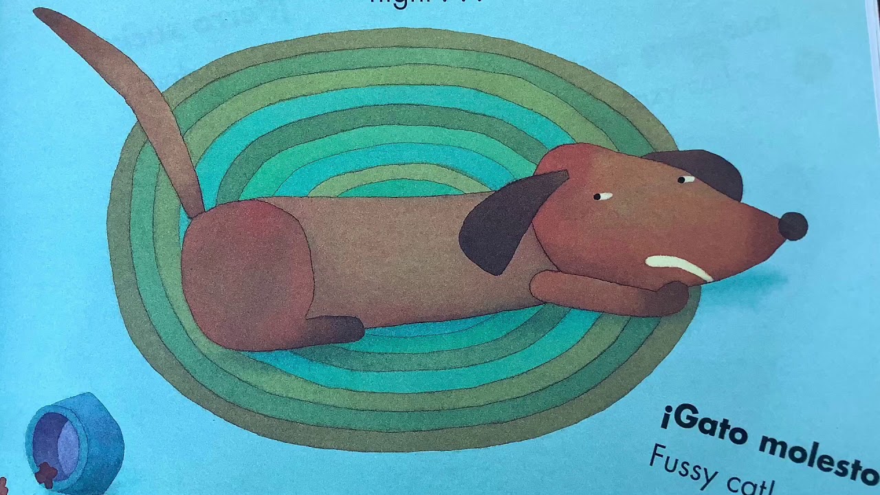 A Cat and a Dog Book by Claire Masurel / Bob Kolar Read aloud. - YouTube