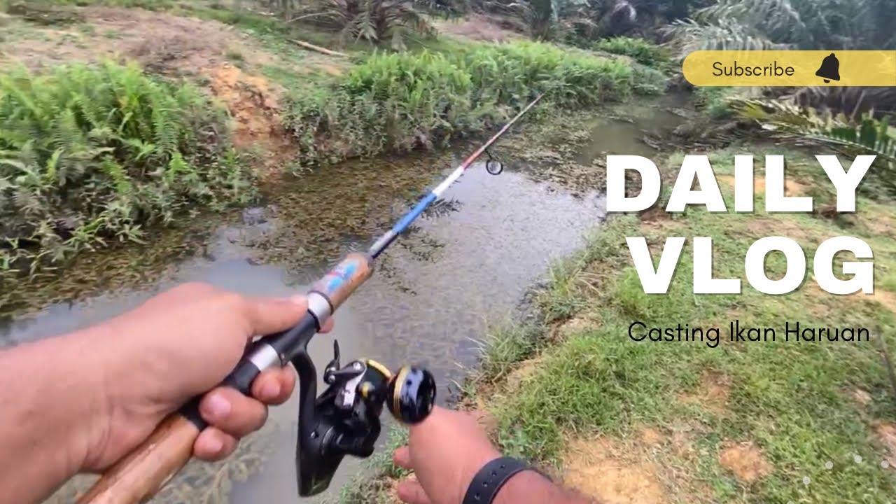 Vlog | Casting Ikan Haruan - YouTube