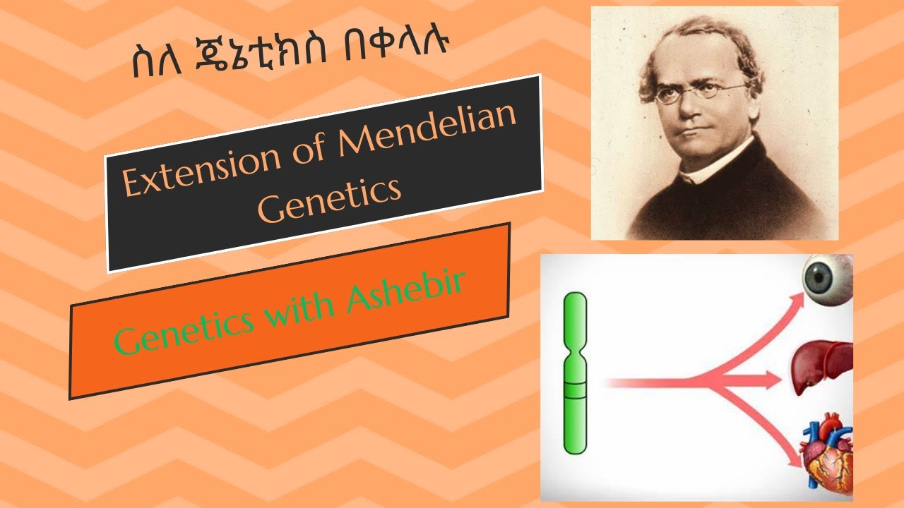 Extension of Mendelian Genetics (Amharic) ለመውጫ ፈተና ለመዘጋጀት ለእጽዋት ሳይንስ እና ...