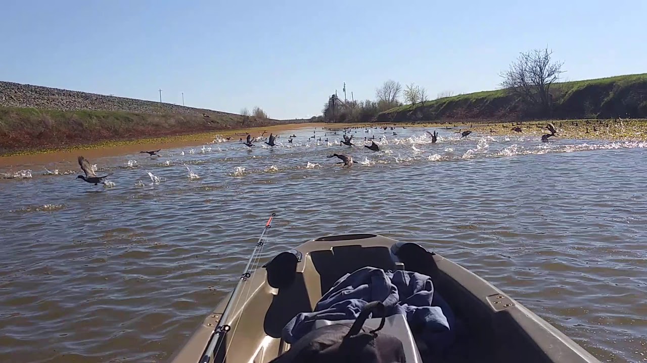 jonny bass 100 cruise - YouTube