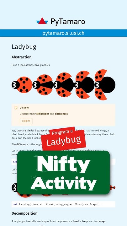 👩‍💻 Program a Ladybug in #Python with #PyTamaro - YouTube
