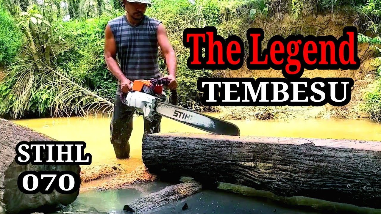 Belah Kayu Tembesu Chainsaw Stihl 070 - YouTube