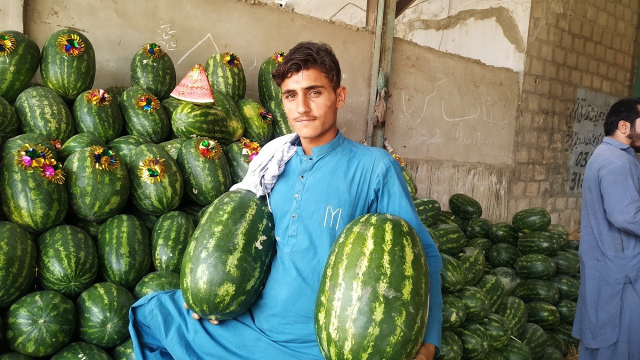 tarbooz watermelon price review karachi fruit mandi - YouTube
