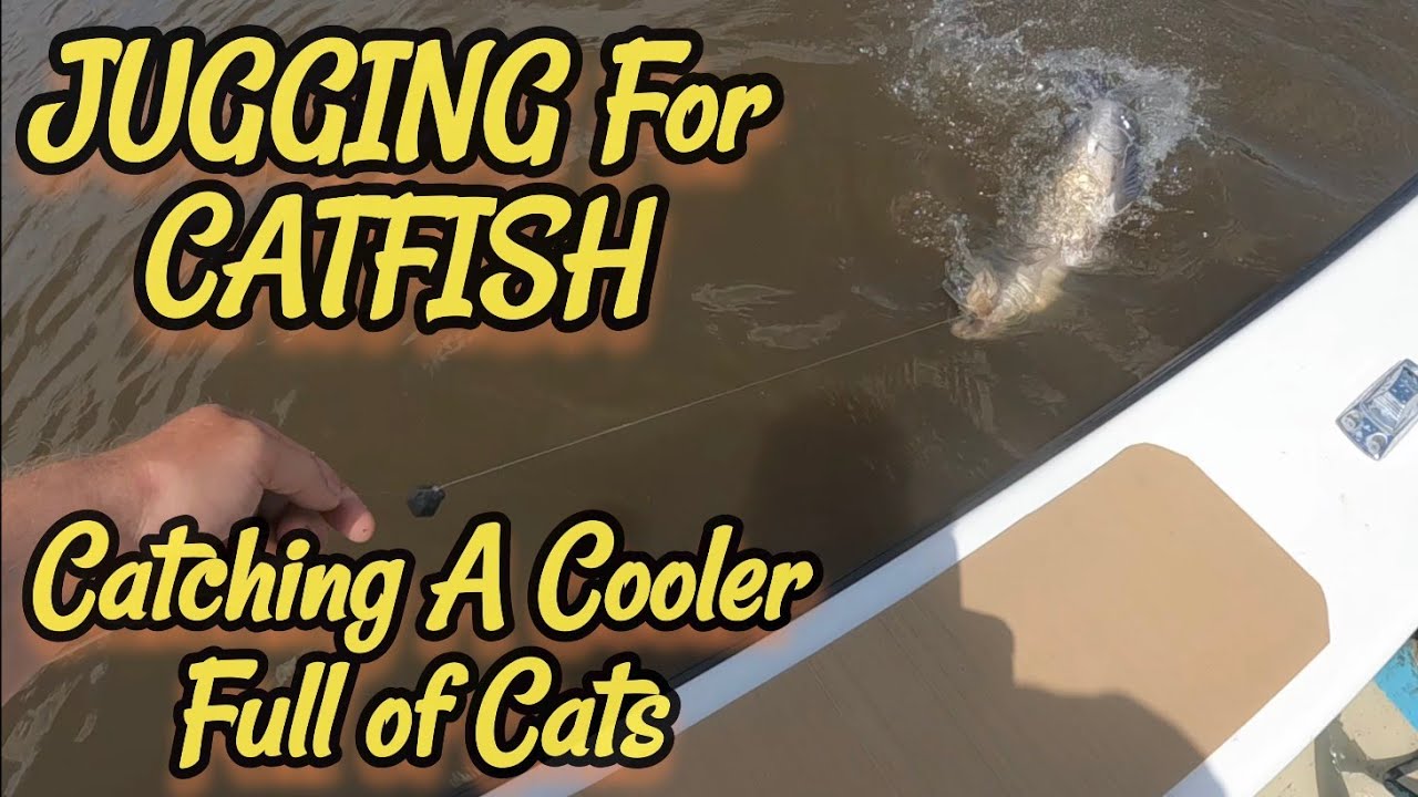 Mess of Catfish On the Jug Lines! JUGGING for catfish on the Mattaponi ...