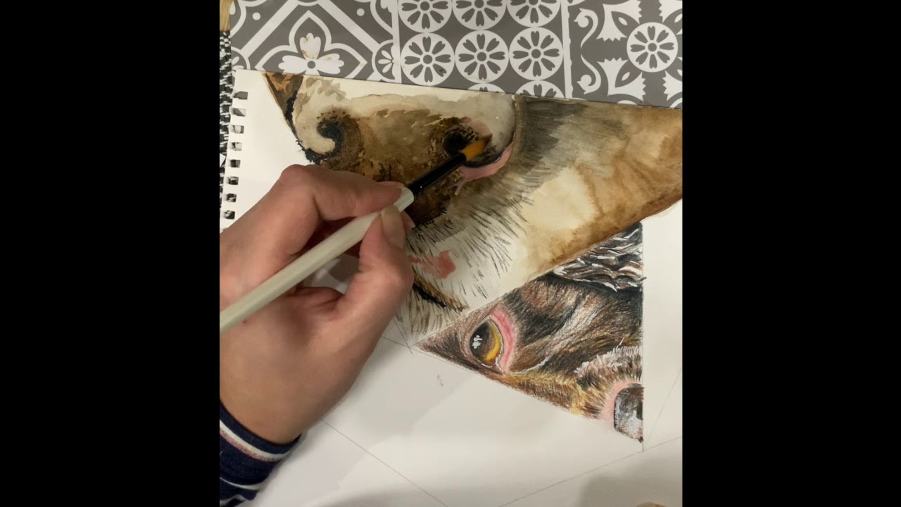 Fragments colour observational composition pencil crayon - YouTube