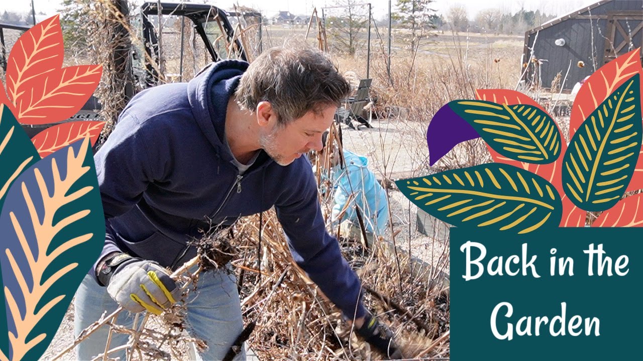 Back In the Garden & What a Mess In the Front Yard - YouTube