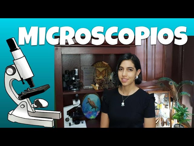 Tipos De Microscopios Mundo Microscopio