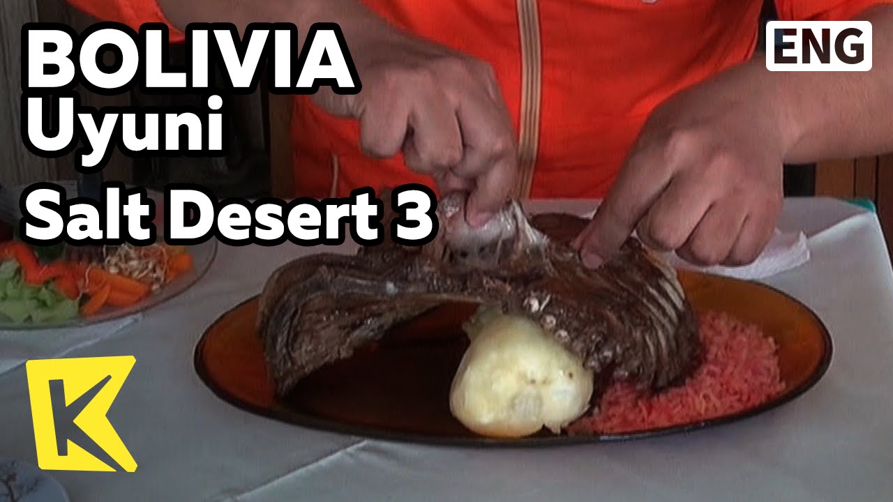 【K】Bolivia Travel-Uyuni[볼리비아 여행-우유니]소금사막 3- 라마 요리/Salt Desert 3/llama ...