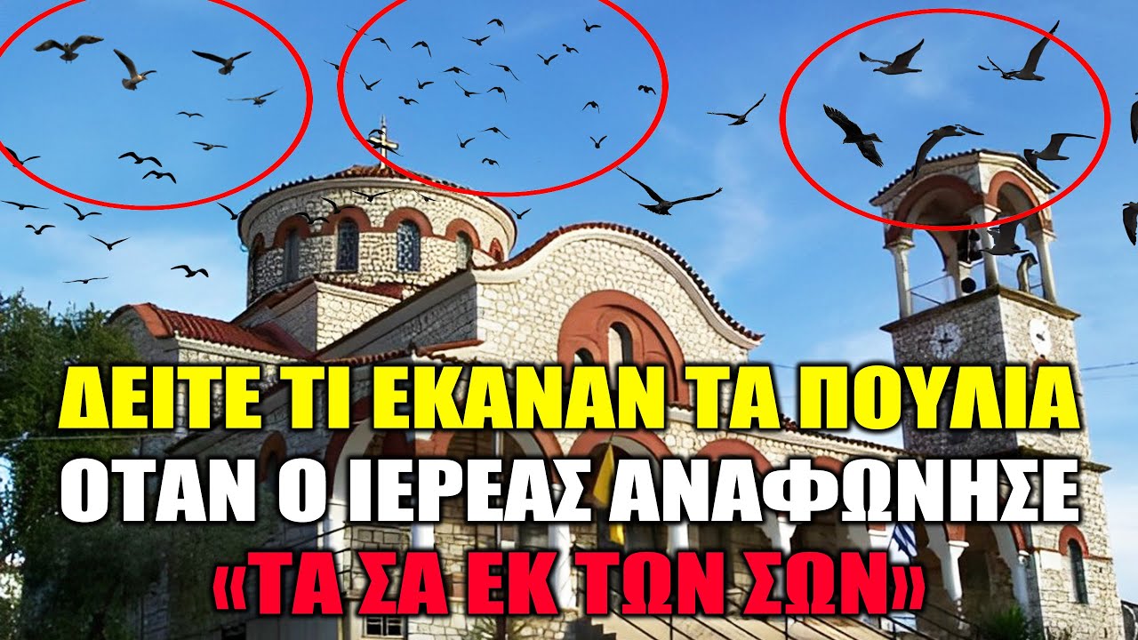 ΣΥΝΕΒΗ ΕΝΤΕΛΩΣ ΞΑΦΝΙΚΑ !!! Δείτε τι έπαθαν όλα τα πουλιά όταν ο Ιερέας ...