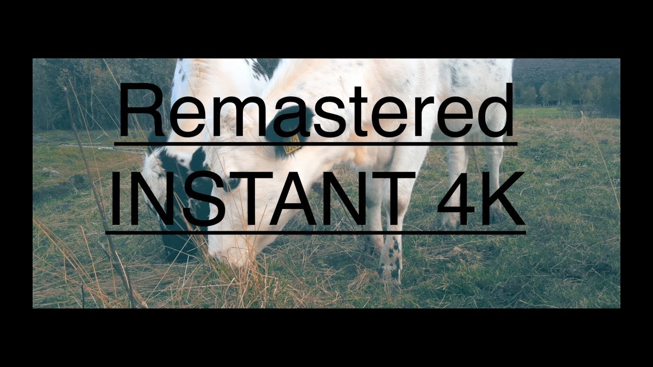 Remastered with INSTANT 4K and After Effects #1 - YouTube