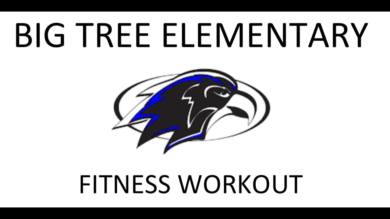 Big Tree Elementary Fitness Workout - YouTube