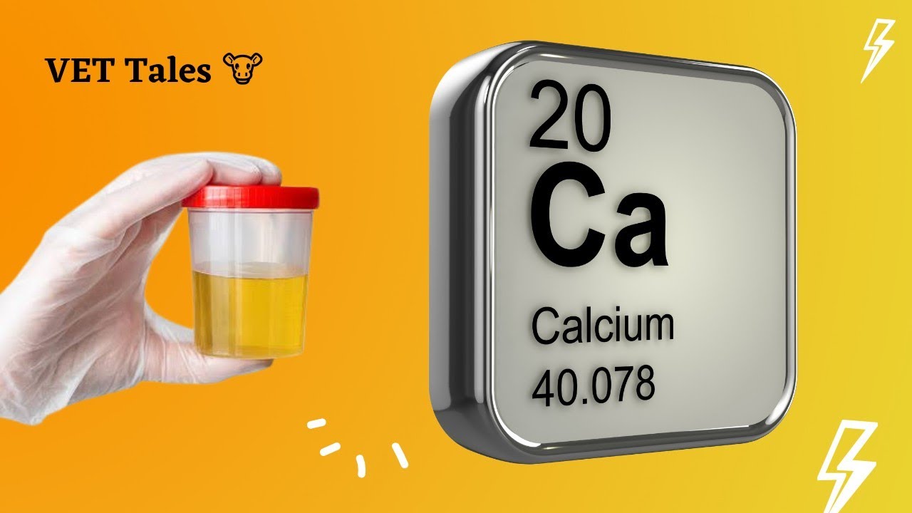 CALCIUM in Urine [ Sulkowitch Test ] - YouTube