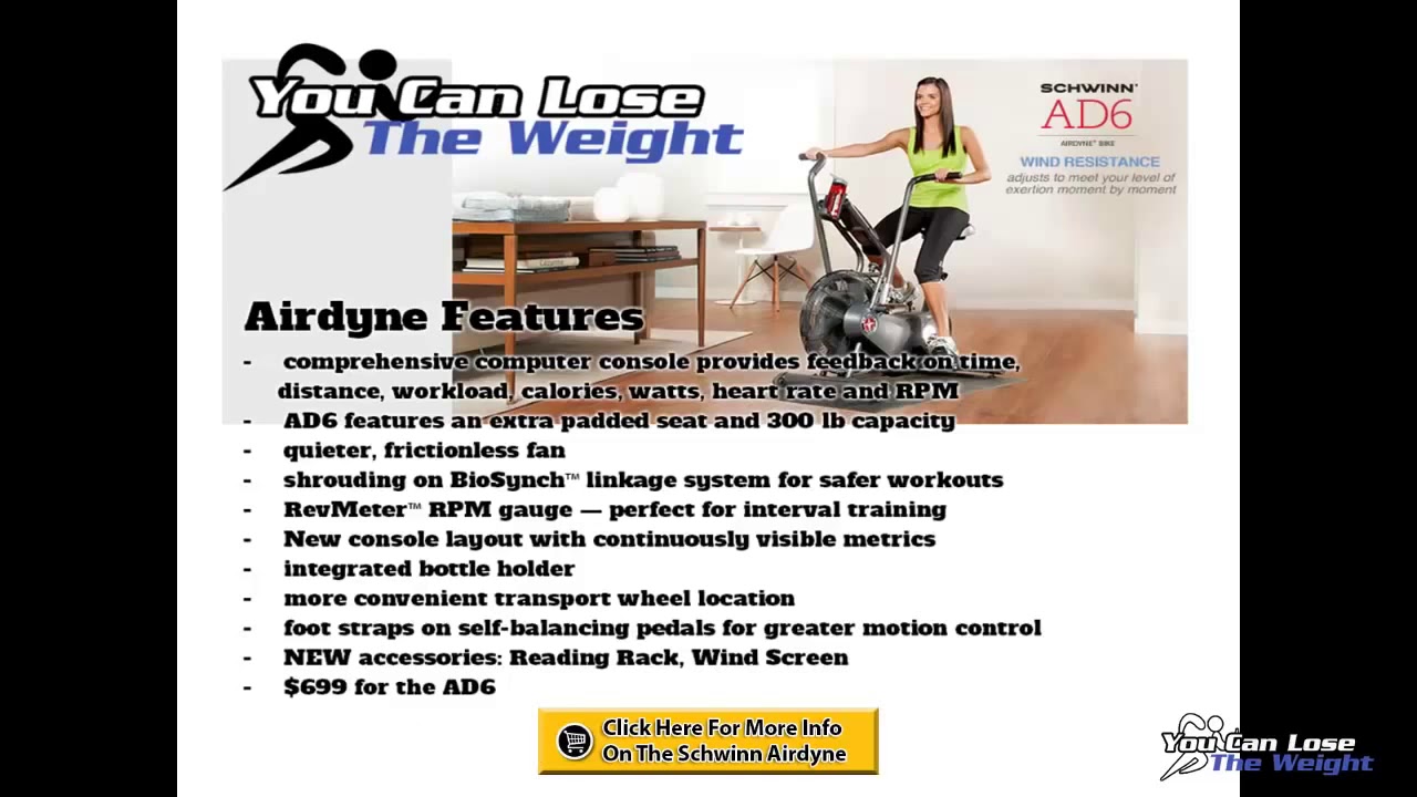 Schwinn Airdyne Bike Our Schwinn Airdyne AD6 Review We Breakdown ...