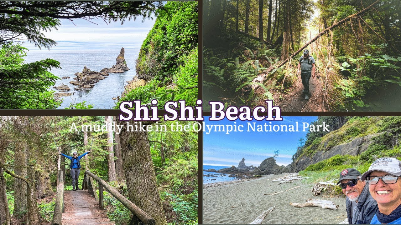 INSANE 4 Mile Hike Through Pacific Northwest Wilderness to Find Shi Shi ...