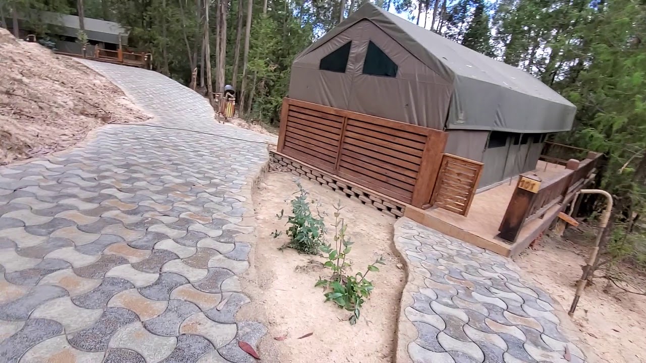 More of Entoto park - YouTube