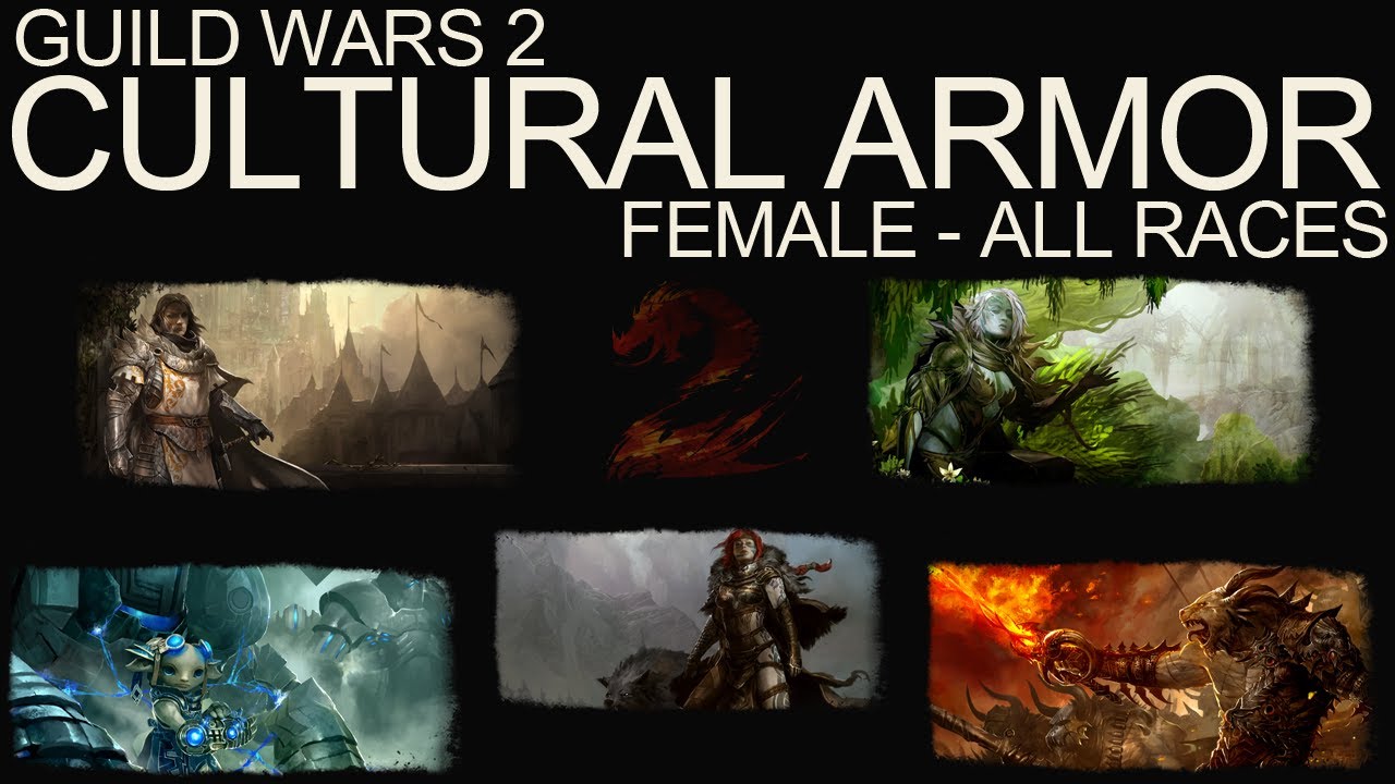 Guild Wars 2 - Cultural Armor Sets - All Races (Female) - YouTube