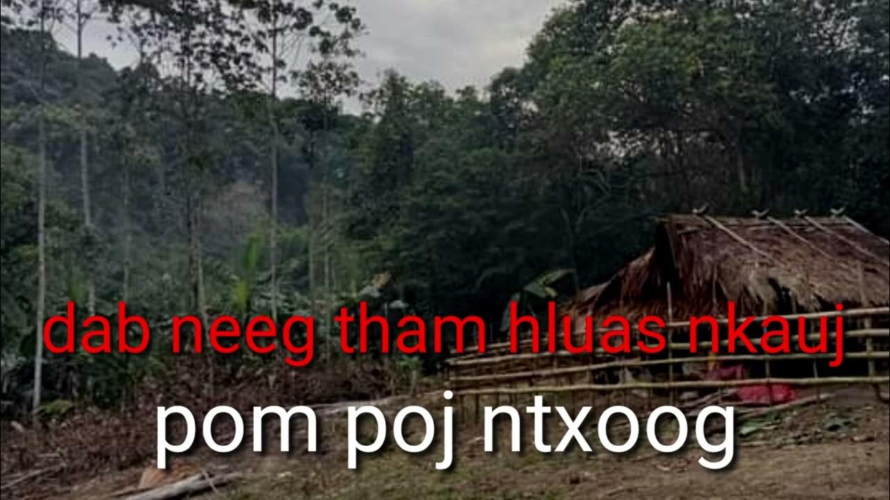 dab neeg tham hluas nkauj pom poj ntxoog 13/2/2023 - YouTube