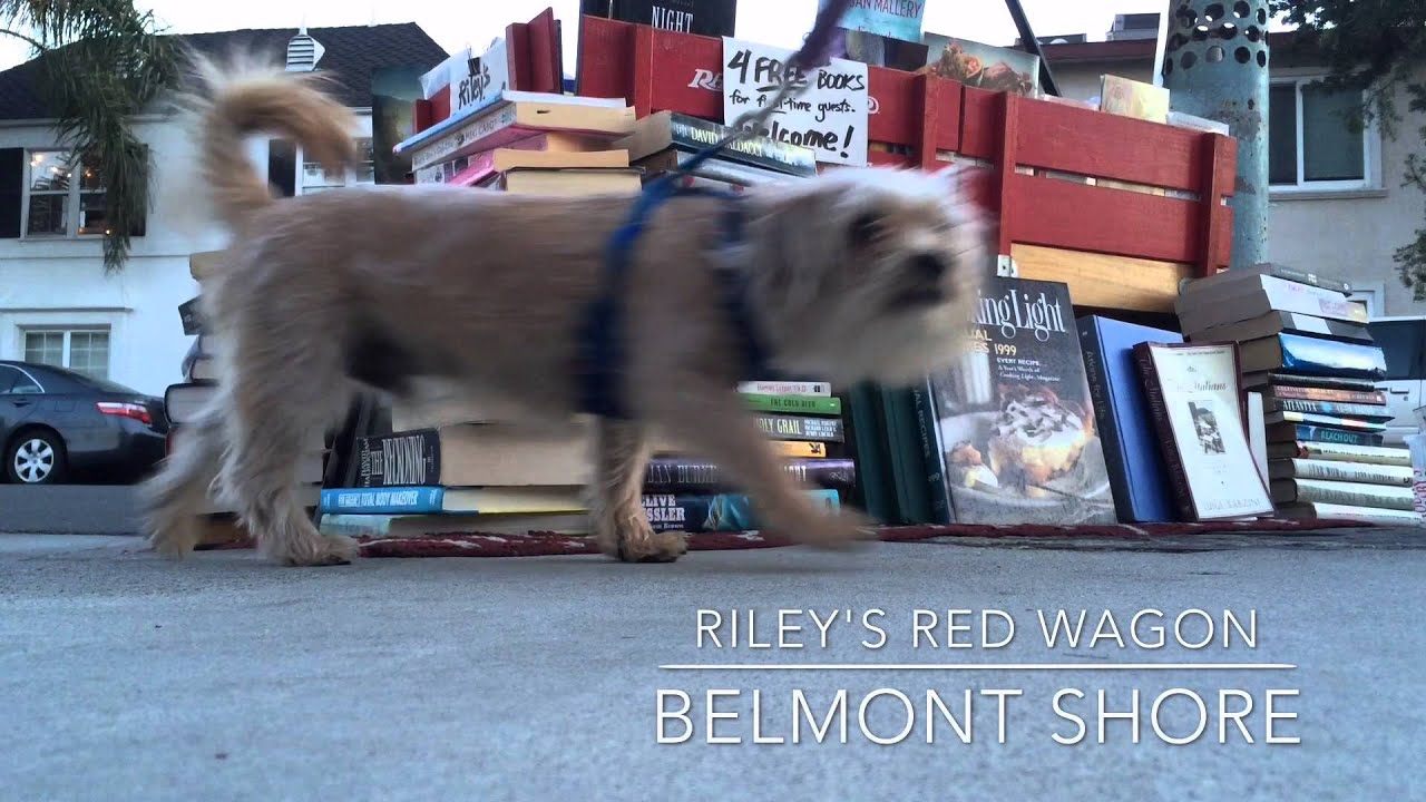 Riley's Red Wagon Book Swap | Long Beach, Calif. - YouTube