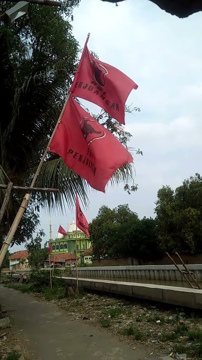 berkibar bendera pdi.p - YouTube