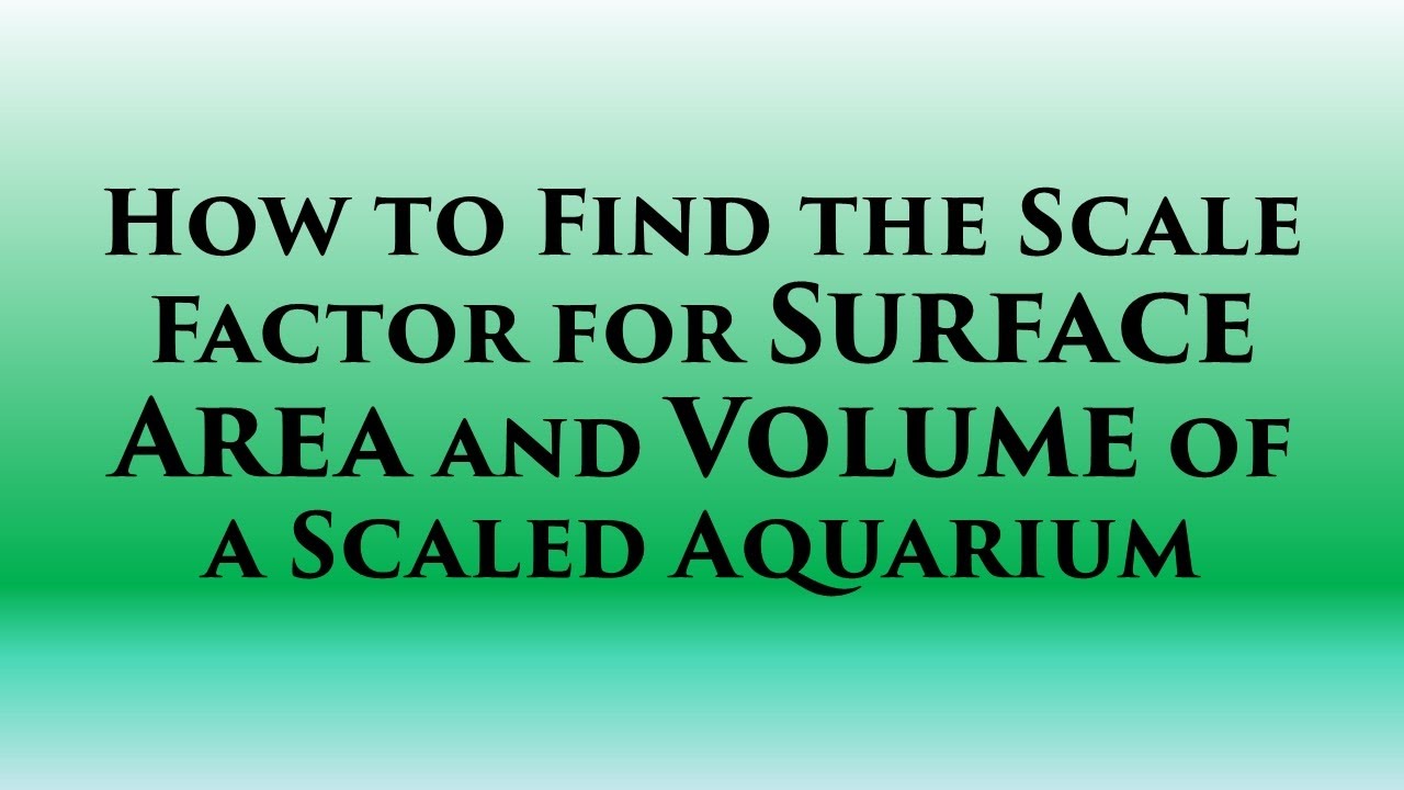 How to Find the Scale Factor for Surface Area and Volume of a Scaled ...