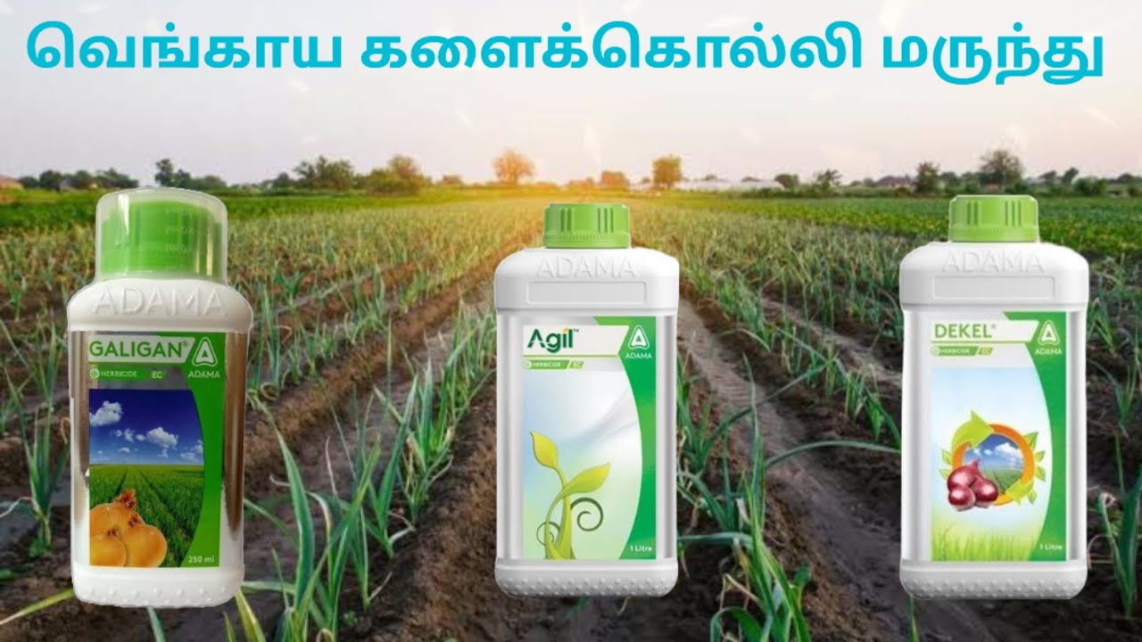 Galigan Adama Herbicde Tamil | Dekel | Agil | Goal | Oxygold | uses ...