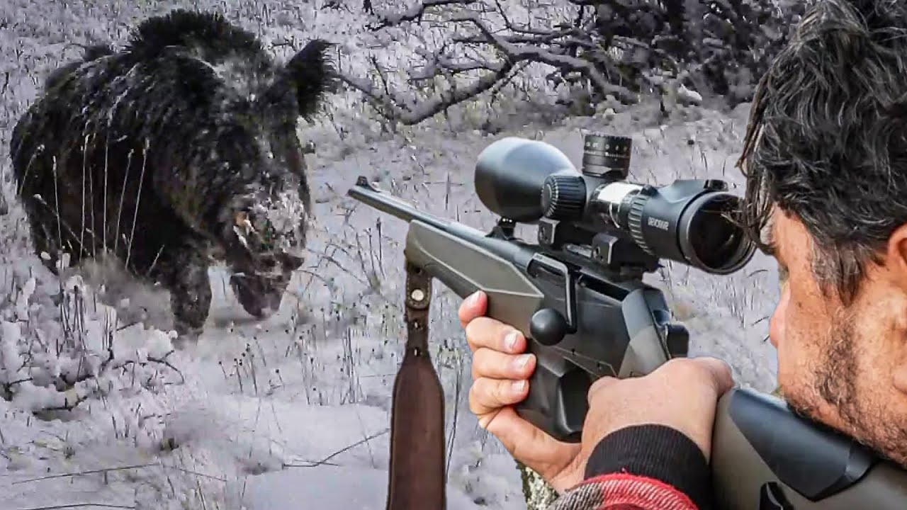 TOP WILD BOAR HUNTING IN WINTER - KIŞIN EN İYİ DOMUZ AVLARI - YouTube