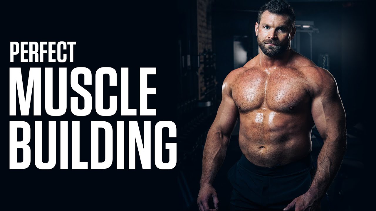 PERFECT Muscle Building Full Body Workout (Training + Diet for MUSCLE ...