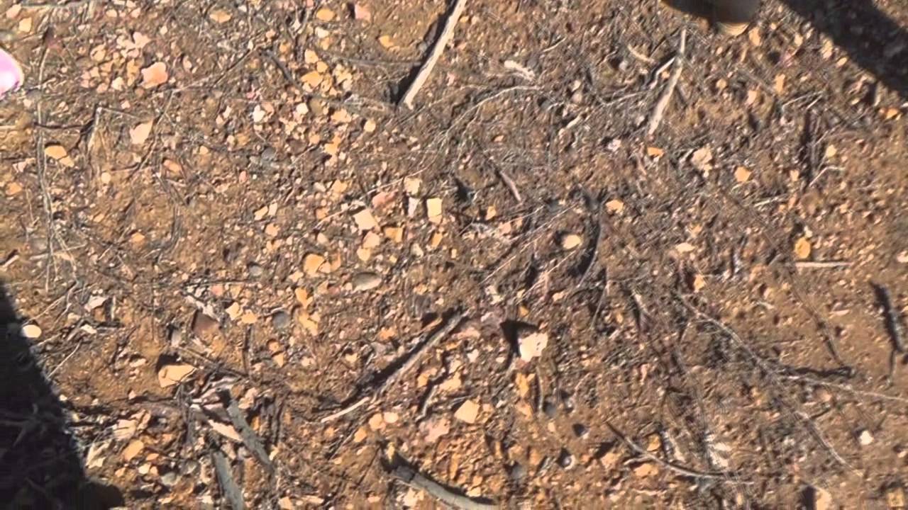 How to find an arrowhead - YouTube