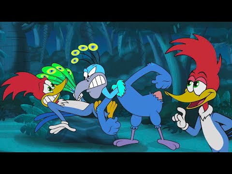 ¡Woody pelea con un pavo real! 🦚 | El Pájaro Loco