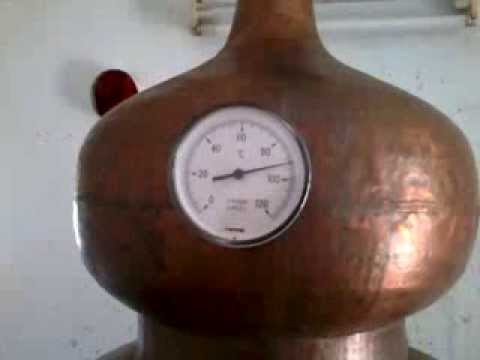 ΤΣΙΠΟΥΡΟ ΑΠΟΣΤΑΞΗ - ΚΕΔΡΟΣ ΚΑΡΔΙΤΣΑΣ - YouTube