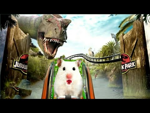 Hamster 🐹 roller coaster jurassic park menegangkan😱 rovershamster - YouTube